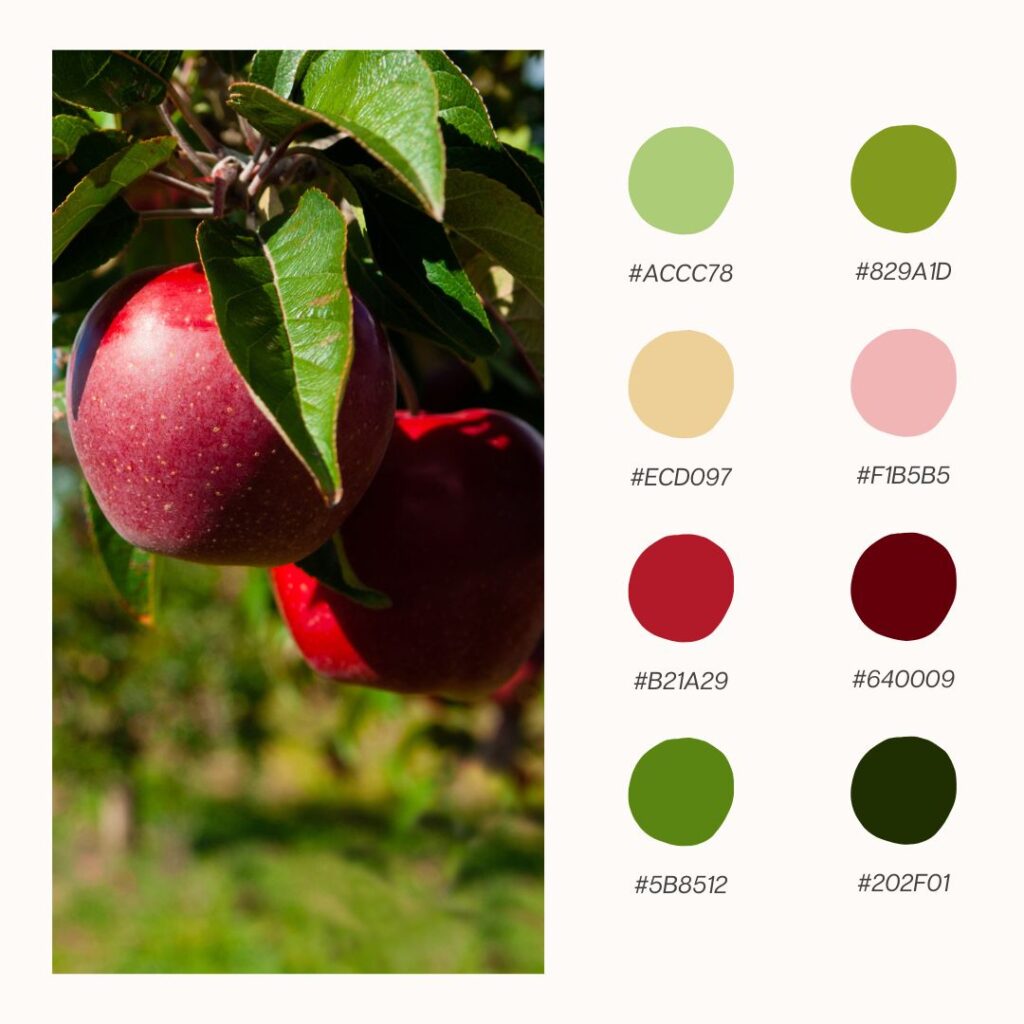 6 Apple Orchard Inspired Color Palettes for Fall Crafts – Angel and ...