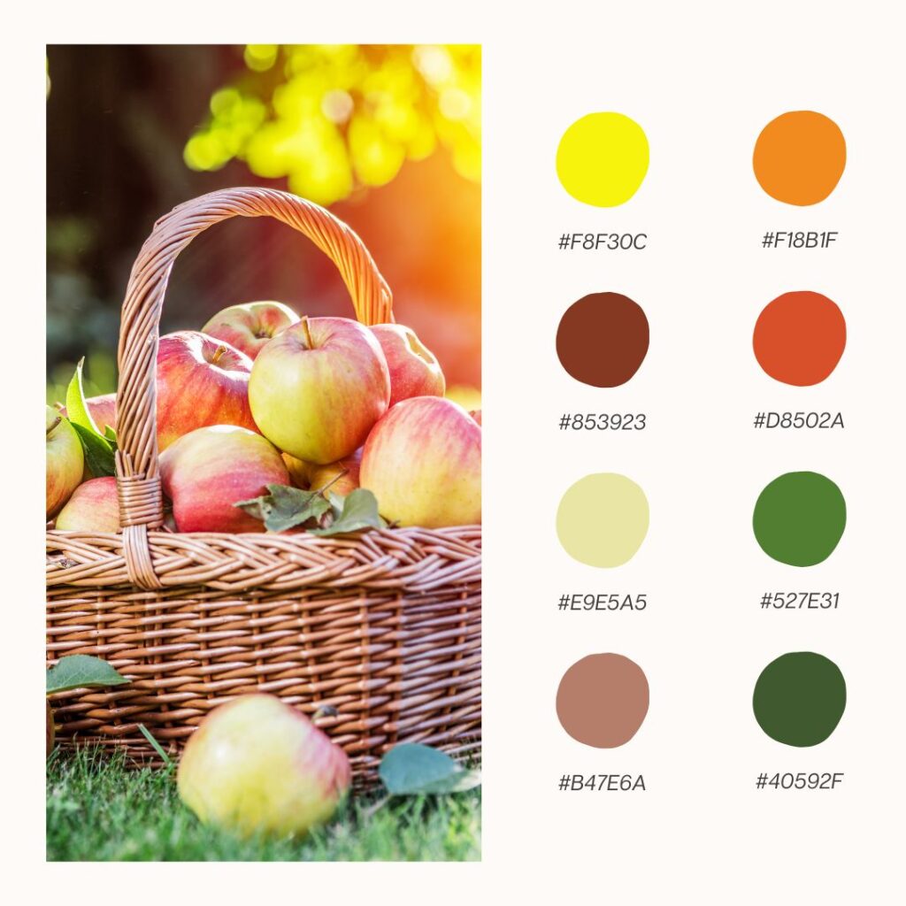 6 Apple Orchard Inspired Color Palettes for Fall Crafts – Angel and ...